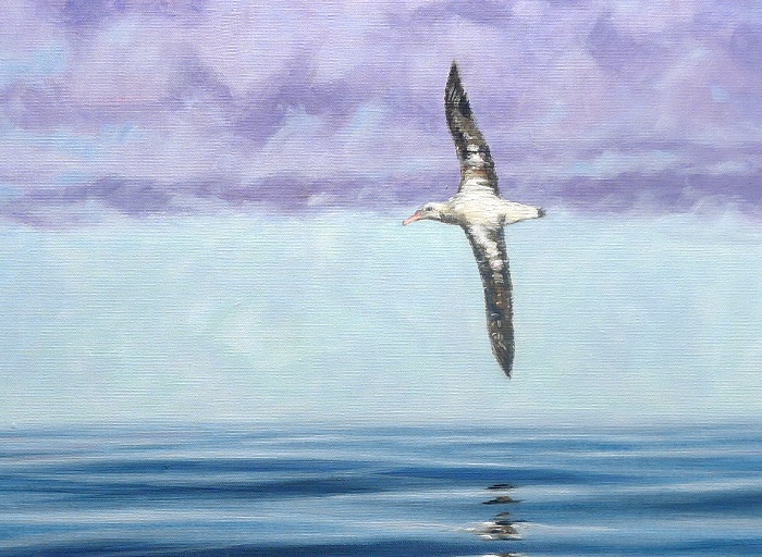 Albatross Painting, Sky Sailor